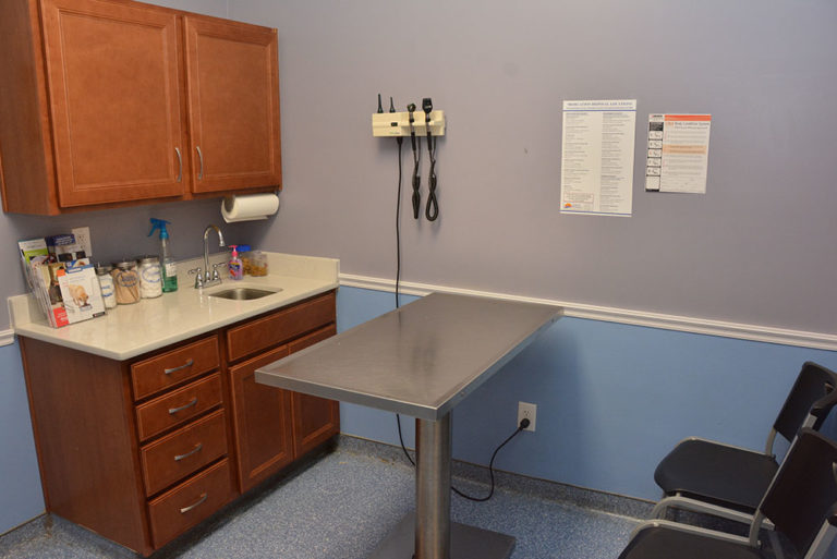 img-remodeled-exam-room - Leland Veterinary Hospital